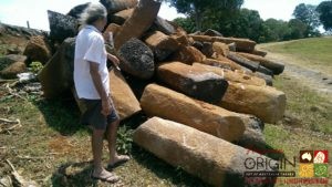 The Resurrection of the Standing Stones – Australia’s Stonehenge: (The ...